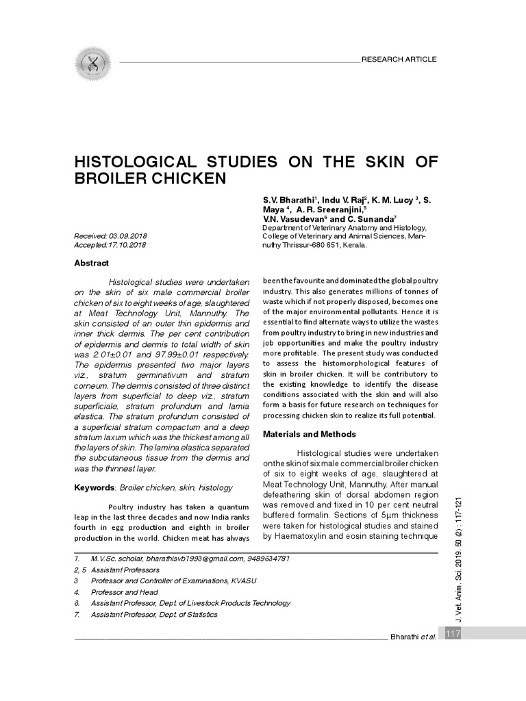 Skin Histology of Broiler Chickens | PDF | Skin | Epidermis