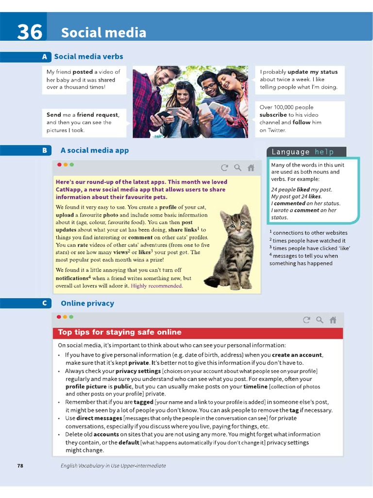 Social Media Vocabulary in Use | PDF