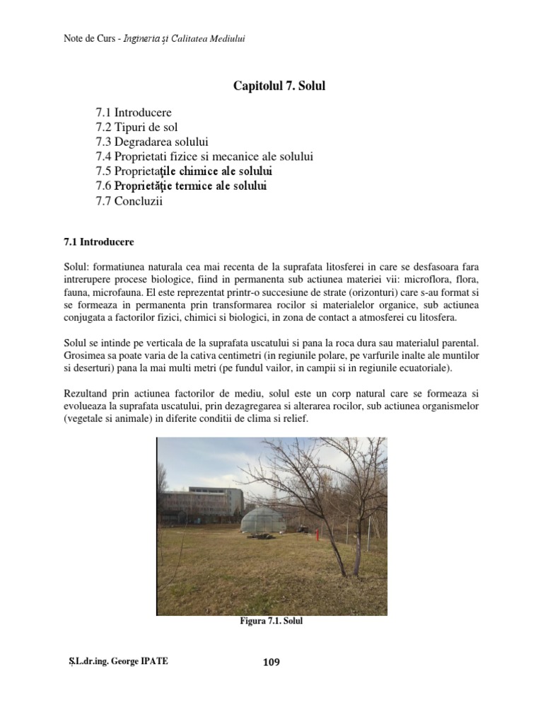 Solul - FINAL PDF | PDF