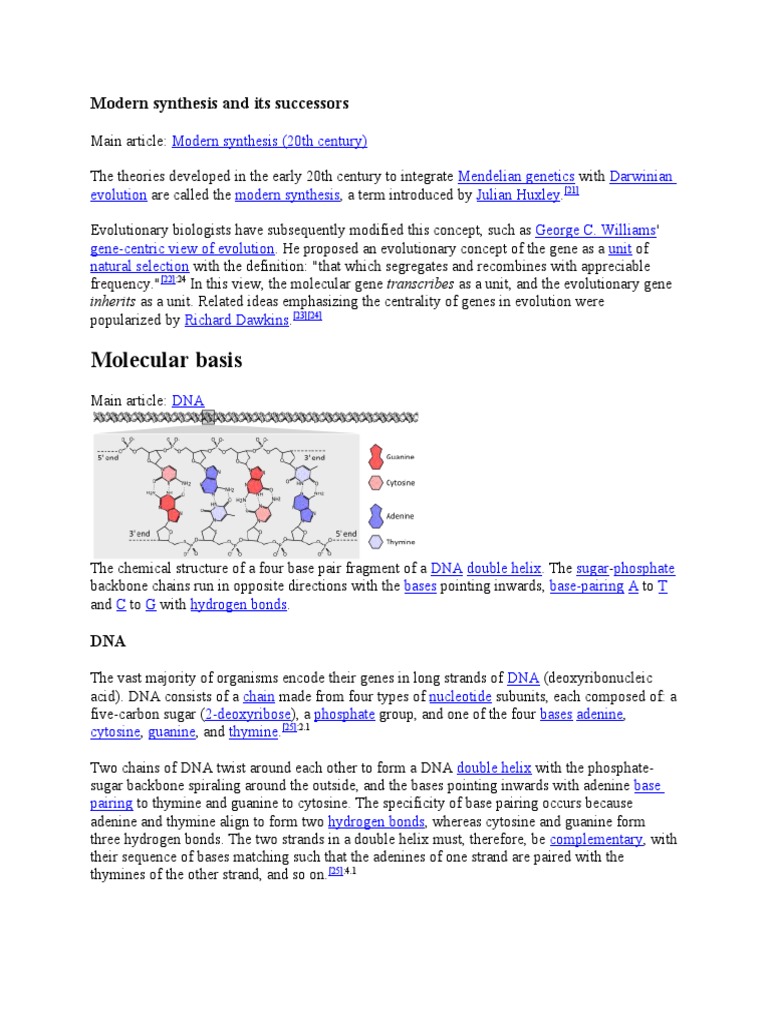 Modern Synthesis and Its Successors | PDF | Dna | Base Pair
