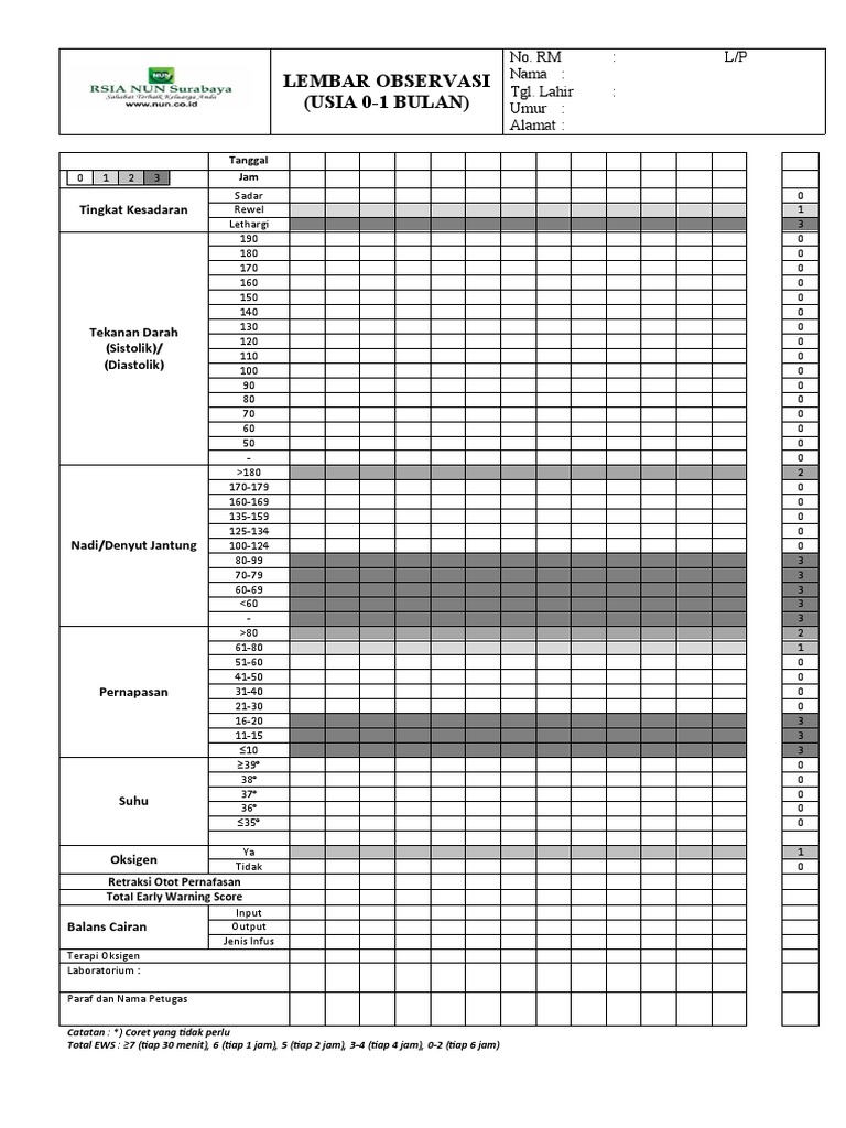 Lembar-Observasi Neonatus | PDF