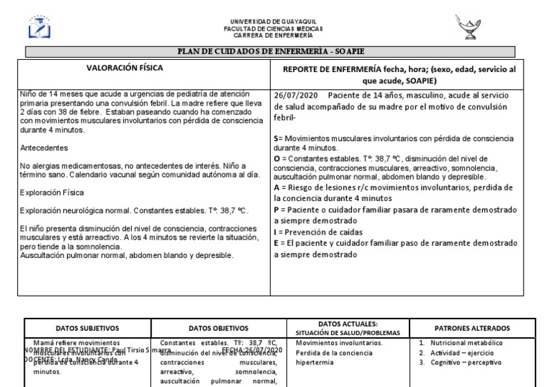 Soapie 2 | PDF | Cuidado de la salud | Ciencias de la Salud
