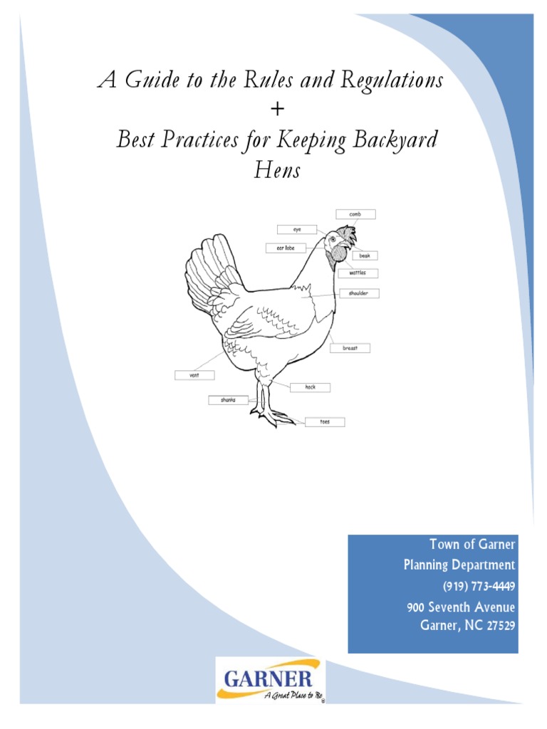 A Guide To The Rules and Regulations + Best Practices For Keeping ...