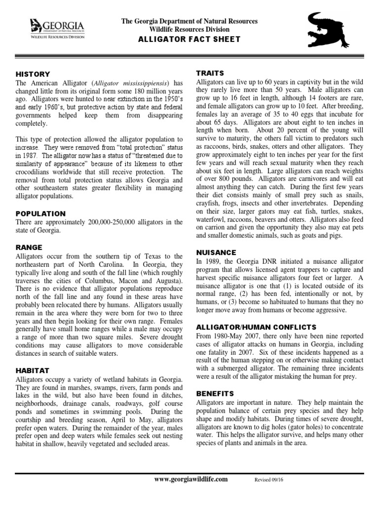 2016 Alligator | PDF | Alligator | Organisms