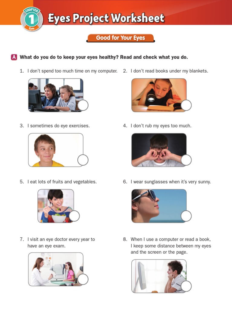 Subject Link 3 - Project Worksheet | PDF | Pinniped | Owl