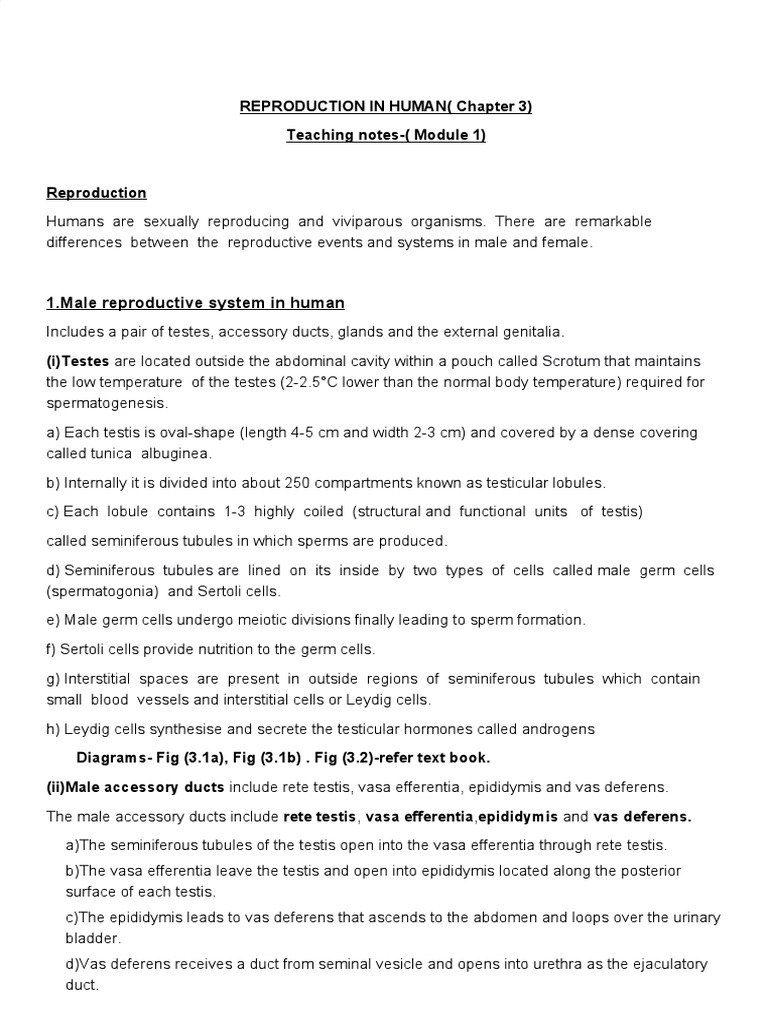 Reproduction in Human (Chapter 3) Teaching Notes - (Module 1) | PDF ...