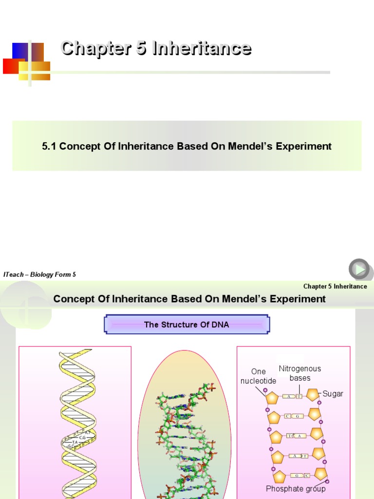 Chapter 5 Inheritance Chapter 5 Inheritance | PDF | Chromosome ...