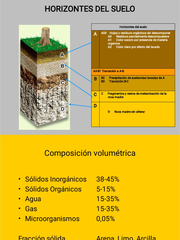 Estructura y Horizontes del Suelo | PDF | Arcilla | Suelo