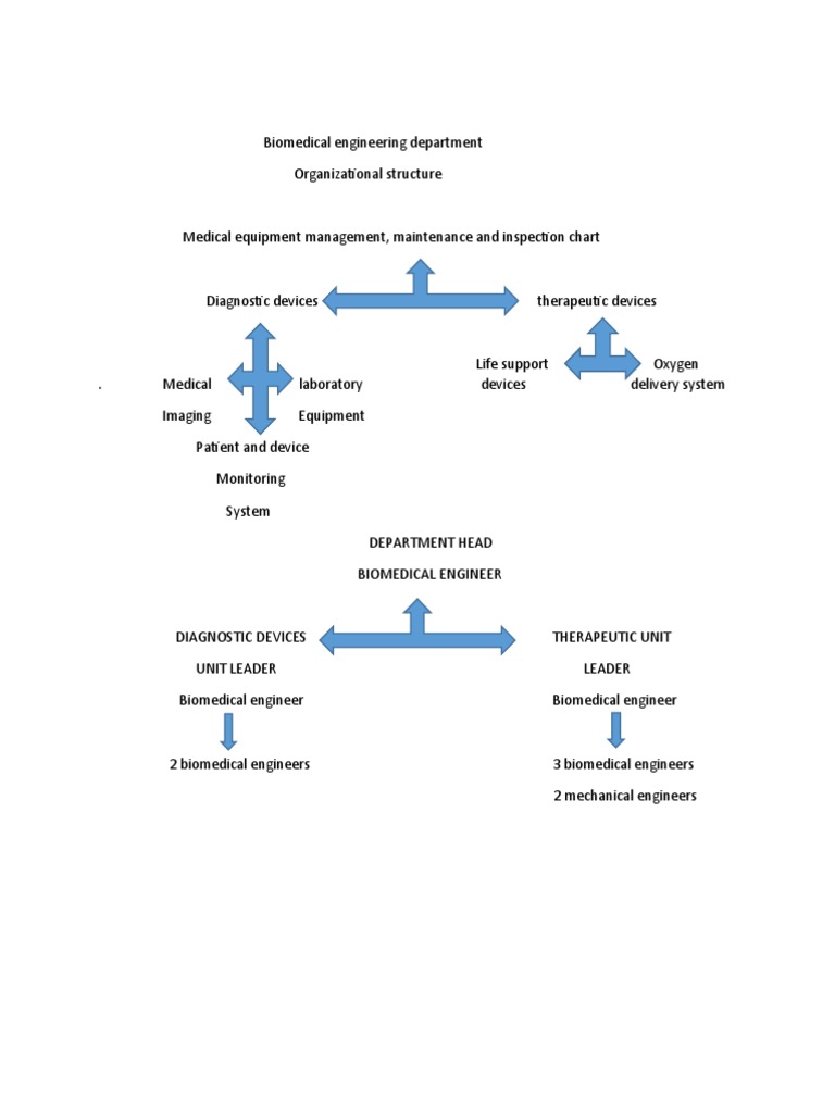 Biomedical Engineering Department Organizational Structure | PDF ...