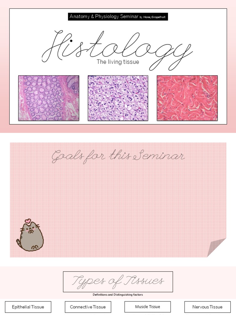Histology Presentation PDF | PDF | Epithelium | Tissue (Biology)