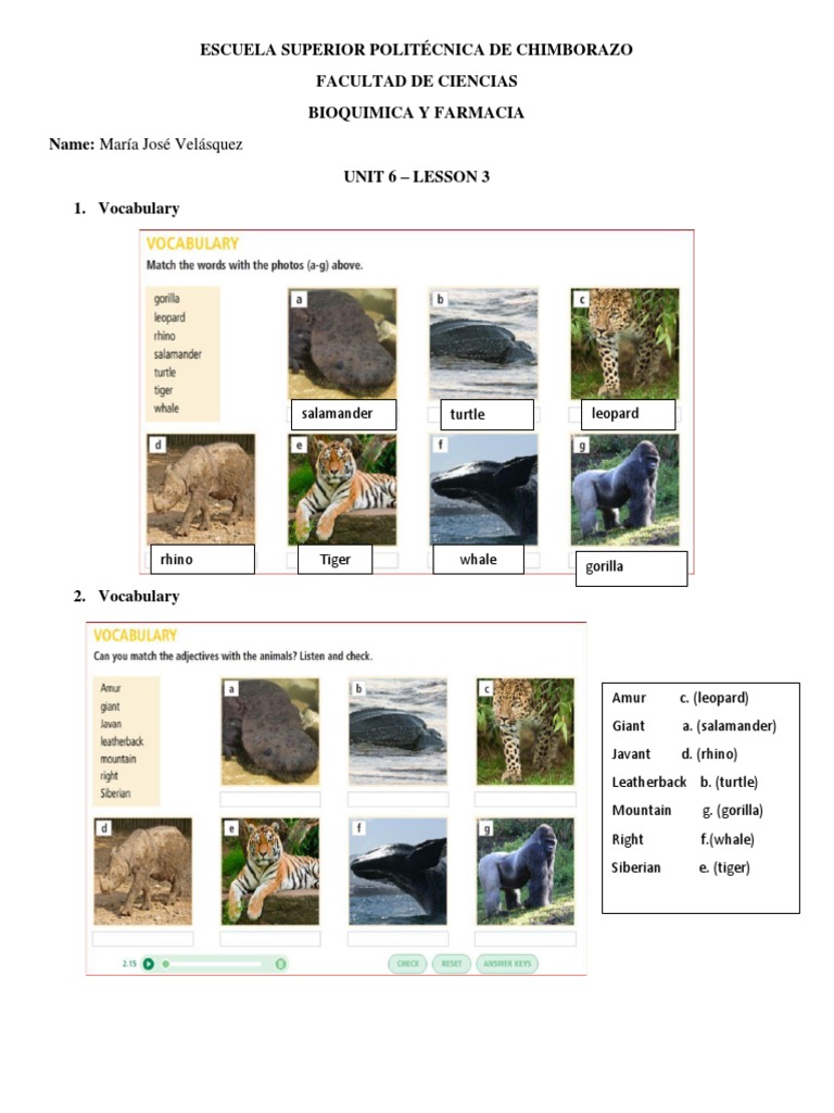 Endangered Animals: Vocabulary, Facts, and Threats to Survival | PDF ...