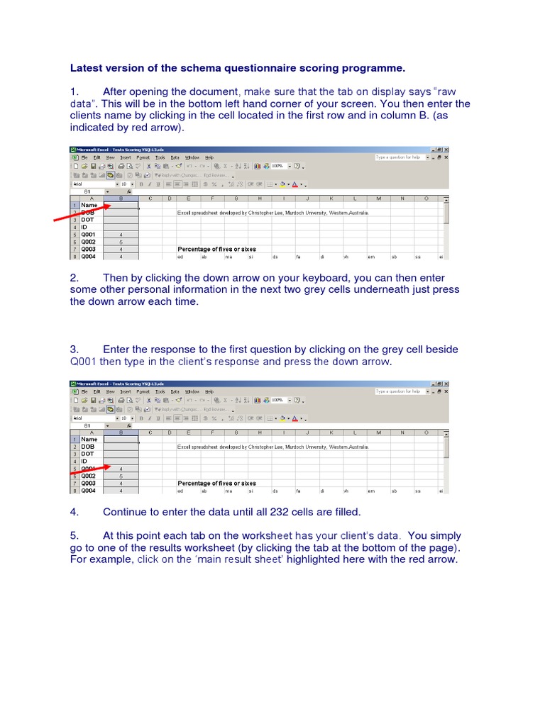 Instructions Ysq l3 Computer Version PDF | PDF