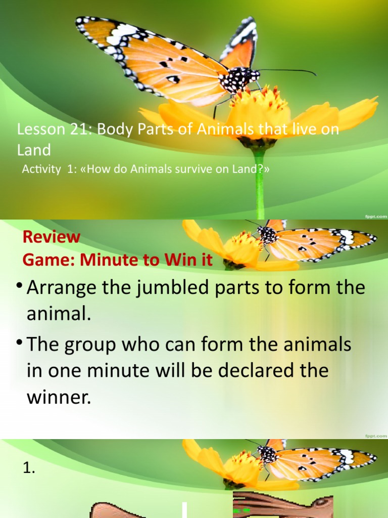 Chapter 2 Lesson 21 Animals That Live On Land | PDF | Organisms | Nature