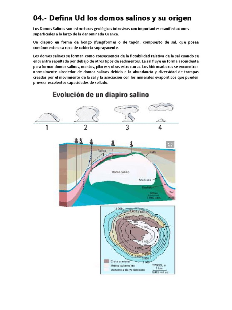 04 Defina Ud Los Domos Salinos y Su Origen PDF | PDF