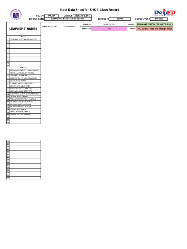 Input Data Sheet For SHS E-Class Record: Learners' Names | PDF