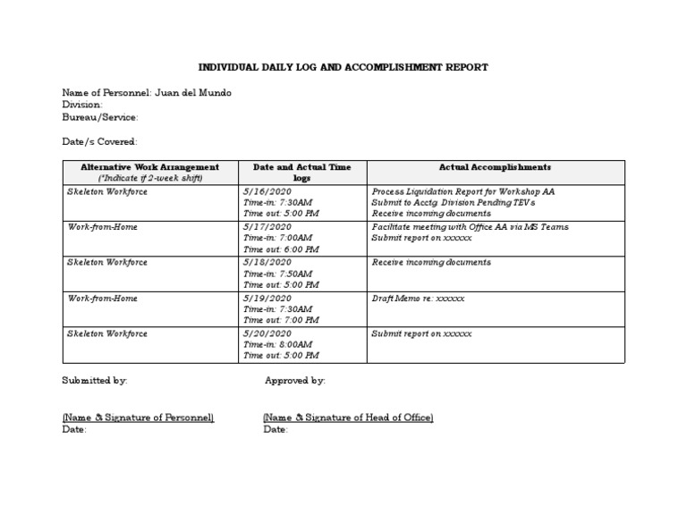 Individual Daily Log and Accomplishment Report | PDF