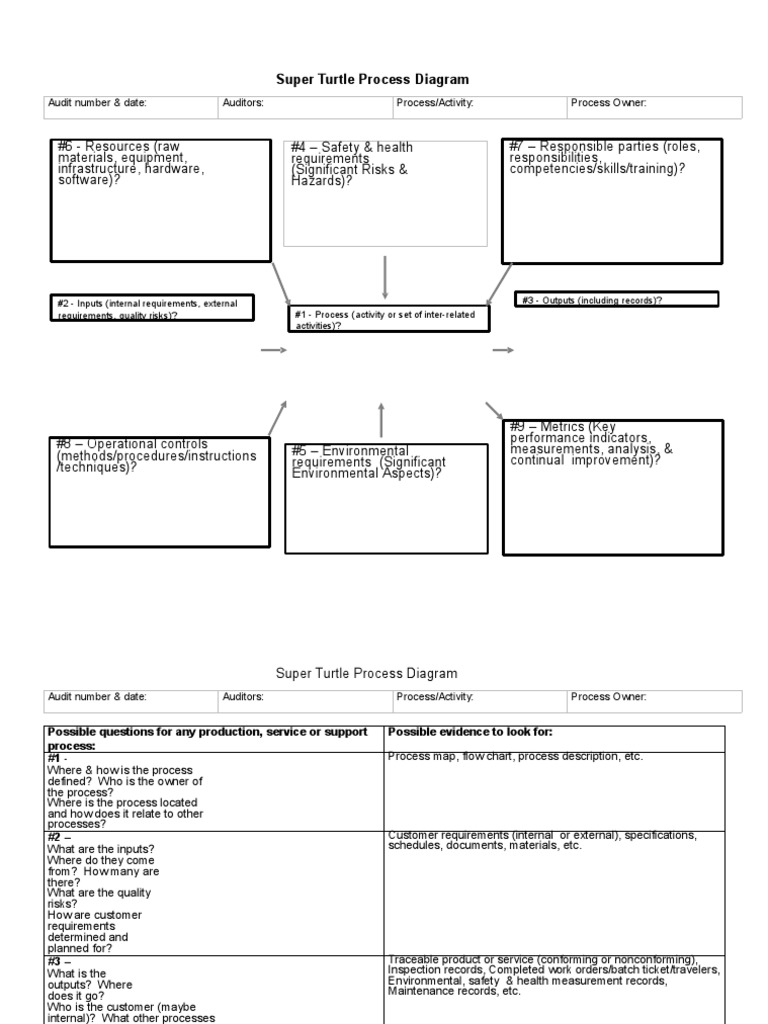 Super Turtle Process Diagram | PDF | Audit | Performance Indicator