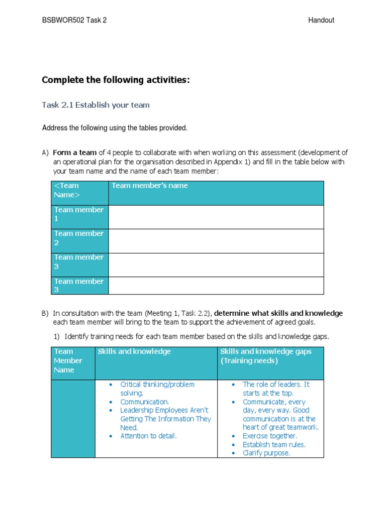 Assessment Task 2 - BSBWOR502 Handout | PDF | Performance Indicator | Risk