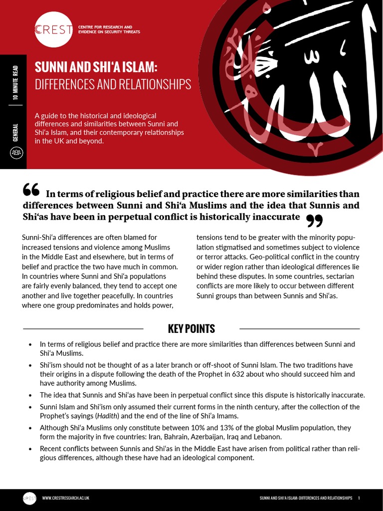 Differences and Relationships: Sunni and Shi A Islam | PDF | Shia Islam ...