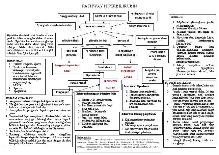 Woc Hiperbilirubin | PDF
