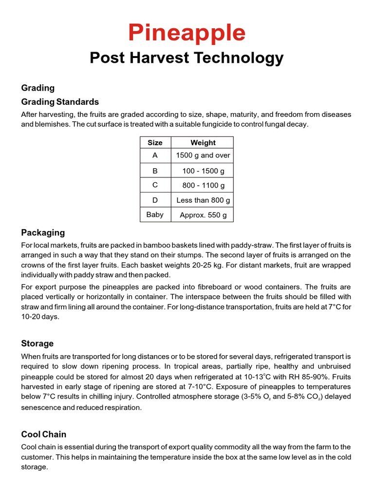 Pineapple Post-Harvest Grading & Storage | PDF | Refrigeration | Fruit