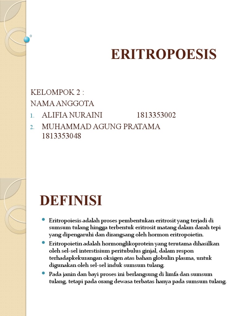 Proses Eritropoiesis dan Sel-Selnya | PDF | Kesehatan Holistik | Sains ...