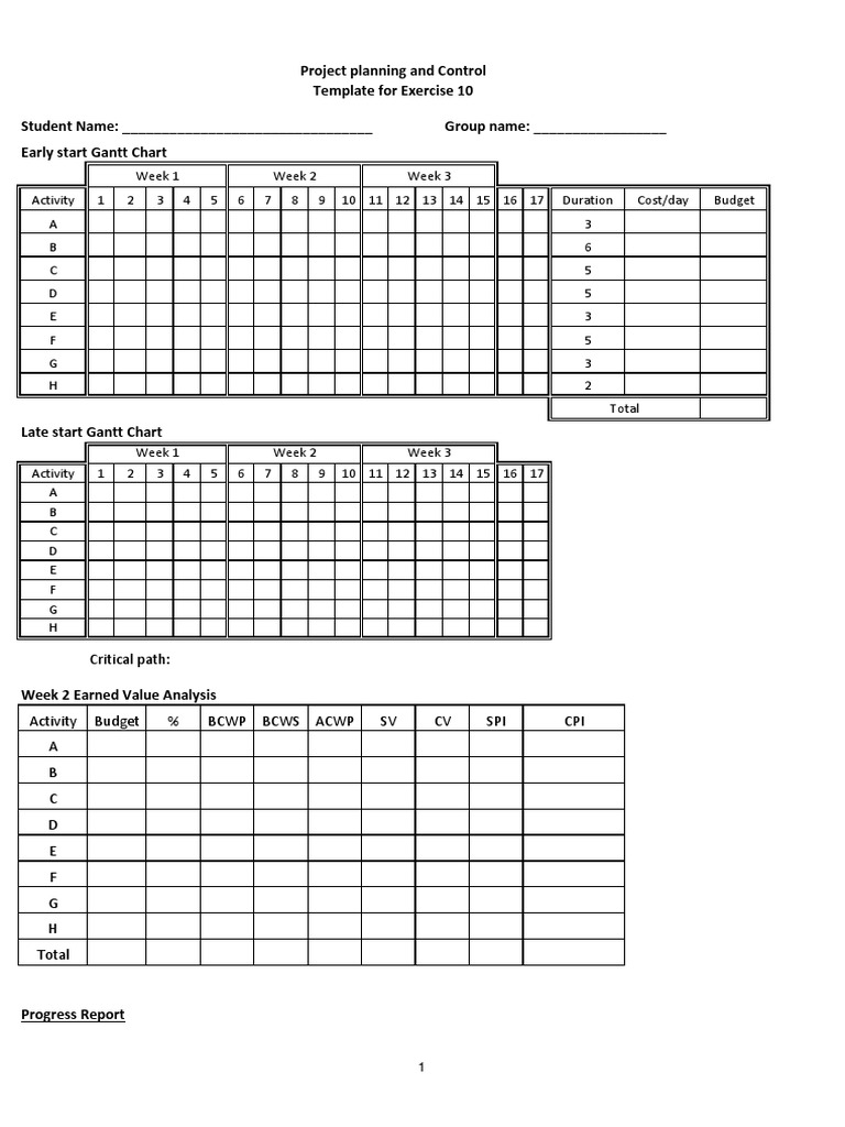 project-planning-and-control-template-for-exercise-10-pdf