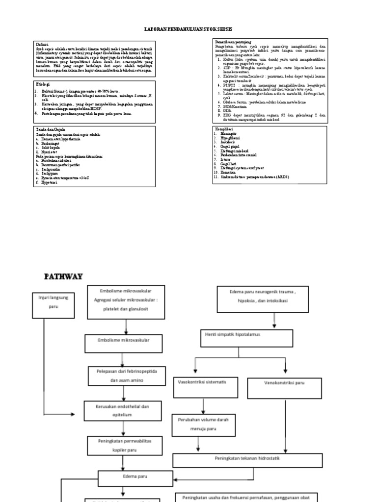LP Syok Sepsis (Revisi) | PDF