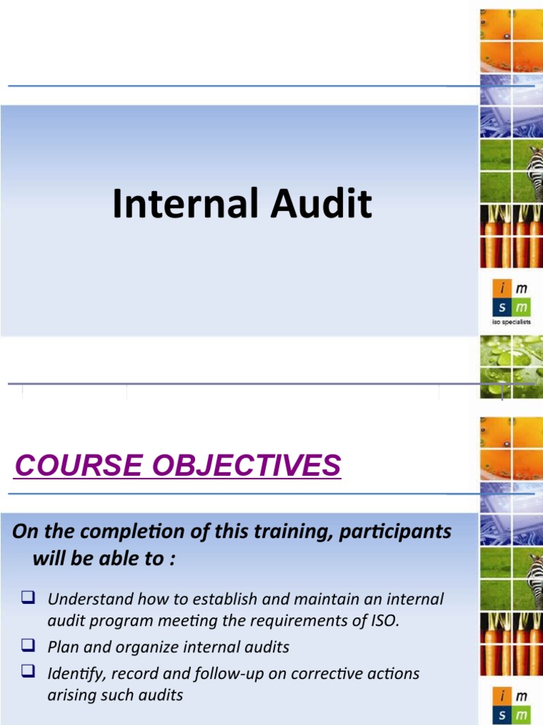 Internal Audit Training | PDF | Internal Audit | Audit