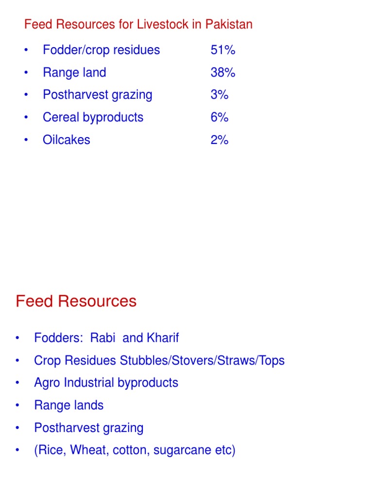 Fodder Crops of Pakistan | PDF | Alfalfa | Crops