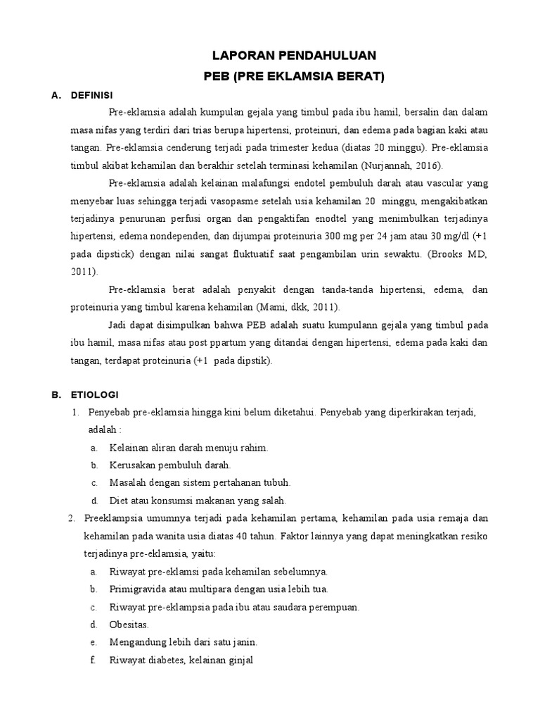 LP Peb | PDF | Kesehatan Holistik