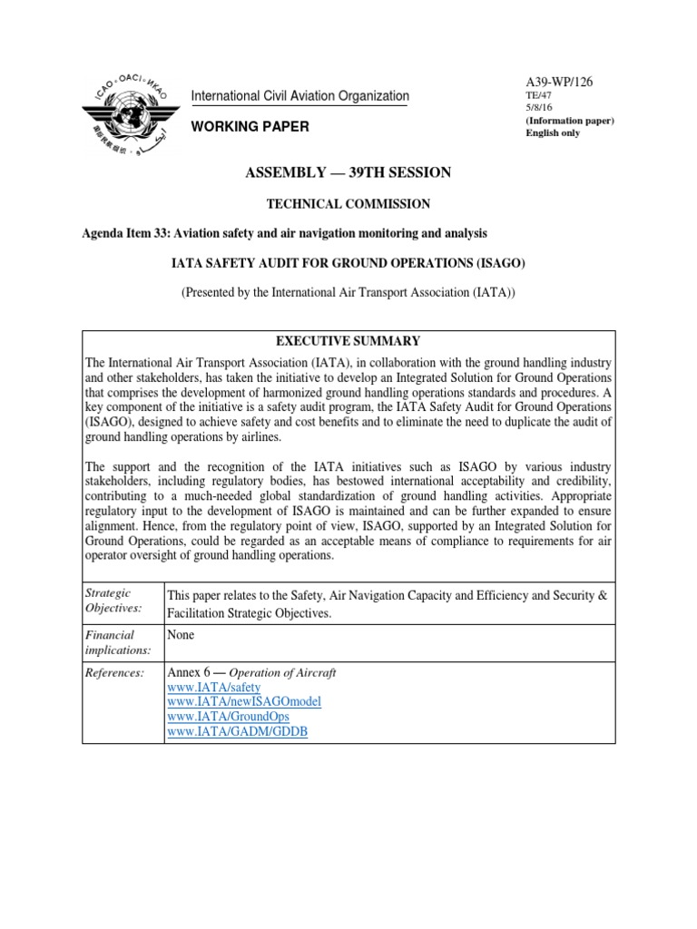 What Is Isago | PDF | Audit | Airport