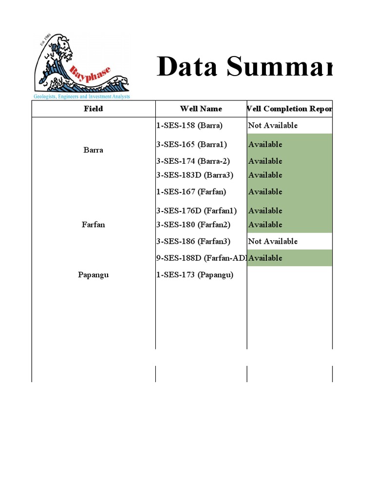 Data Summary Sheet: Field Well Name Well Completion Report | PDF