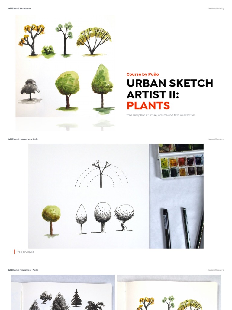 Tree and Plant Structure Exercises | PDF