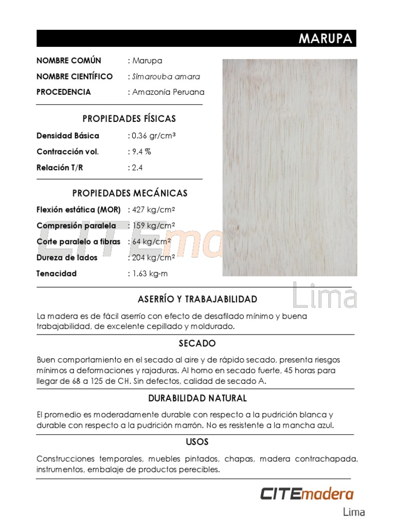 Ficha Marupa PDF | PDF