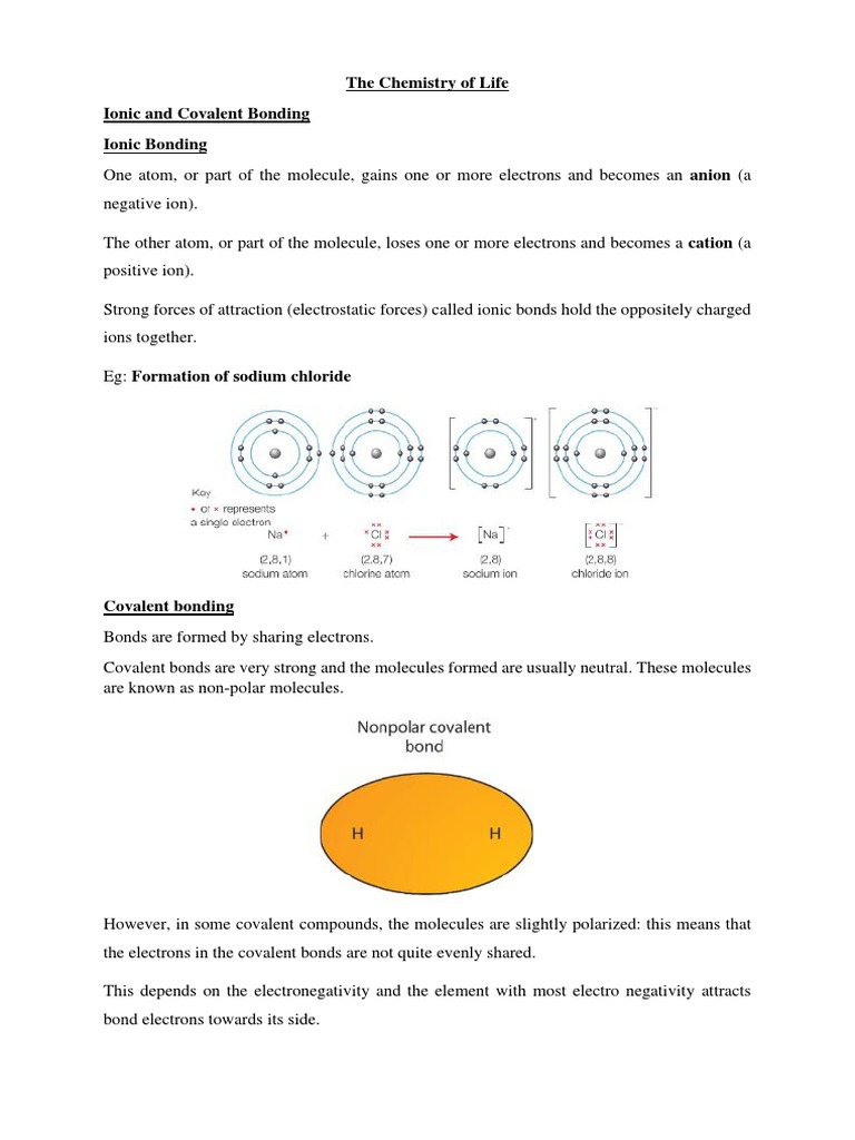 The Chemistry of Life | Download Free PDF | Chemical Bond | Ion