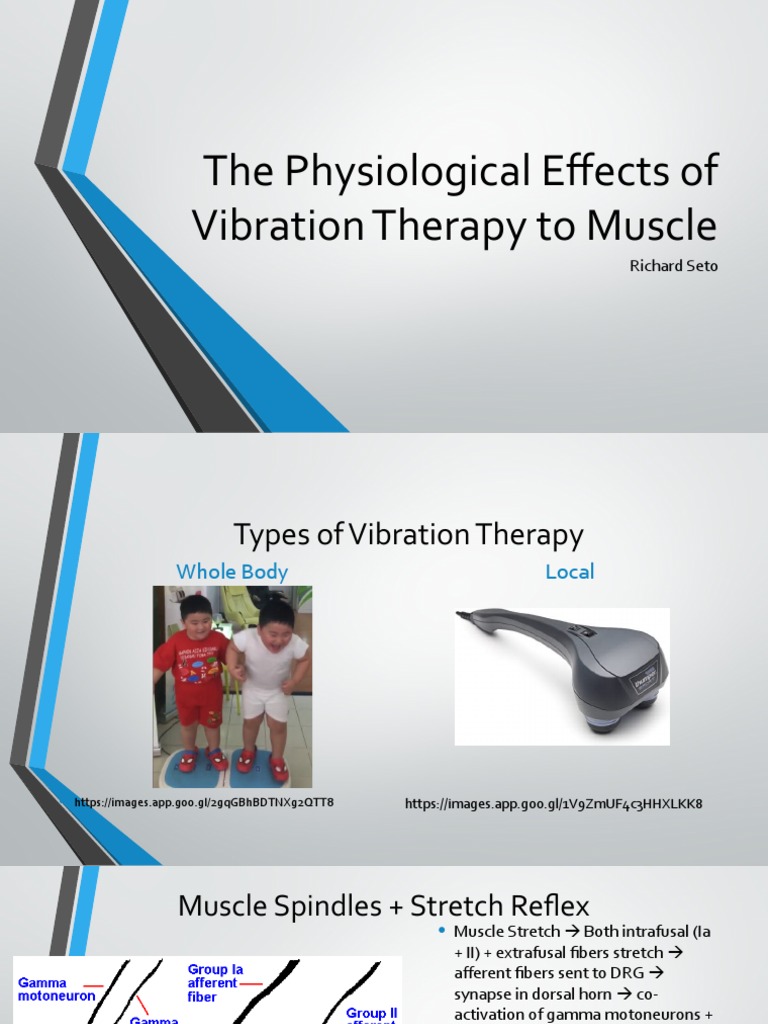 The Physiological Effects of Vibration Therapy To Muscle Presentation ...