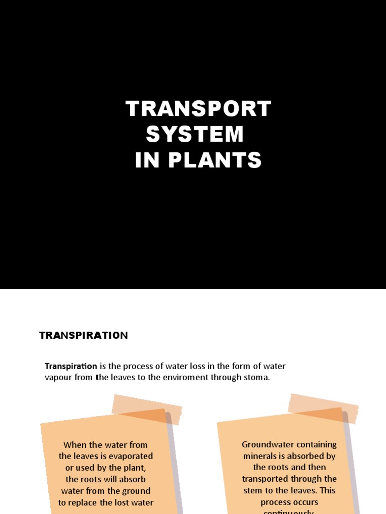 The Water Transport System in Plants: Transpiration, Guttation ...