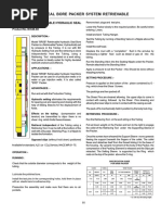 RTTS Packer: Technical Data Sheet | PDF | Pipe (Fluid Conveyance) | Valve