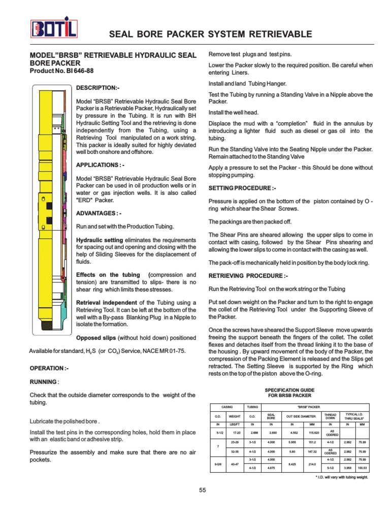 Seal Bore Packer System - Retrievable | PDF | Casing (Borehole) | Pipe ...