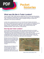 Patient Information Leaflet Tamoltra | PDF | Major Depressive Disorder ...