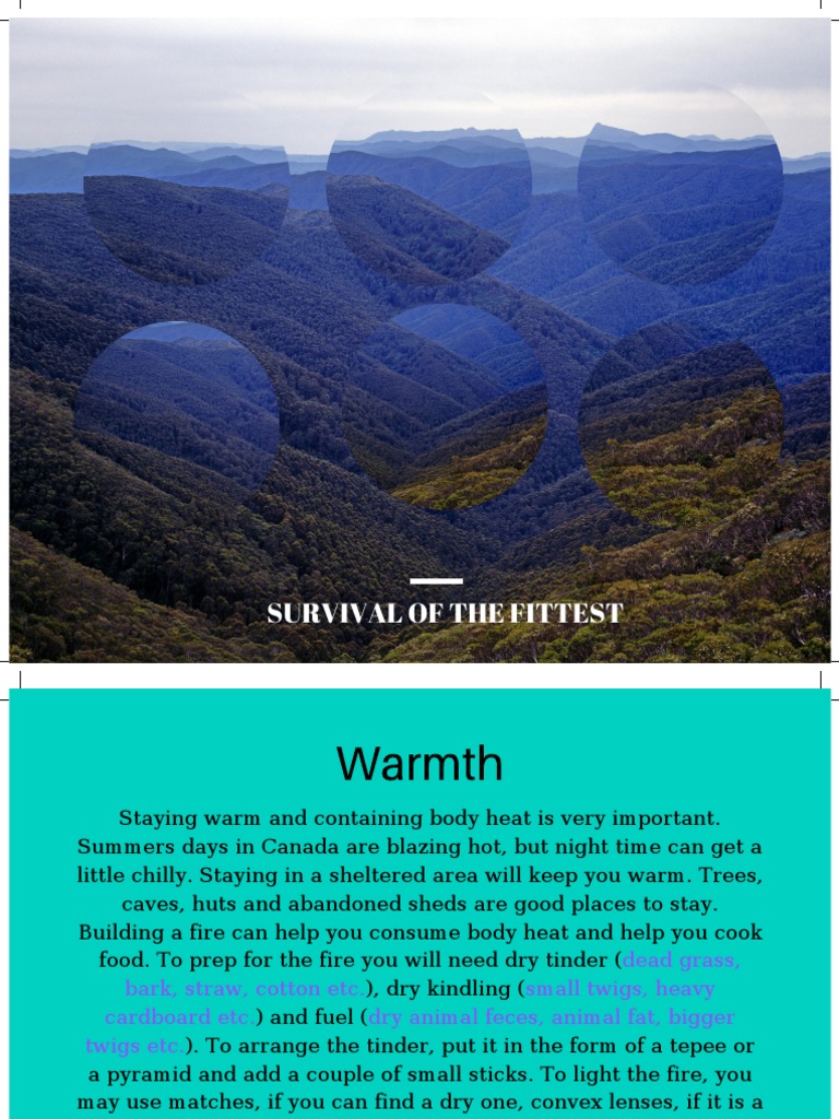 Essential Survival Skills Guide | PDF
