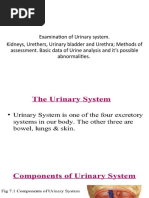 OSCE Checklist for Renal Examination | PDF | Kidney | Edema