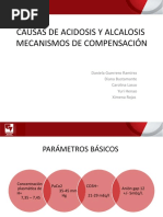 AZOADOS | PDF | Ciencia y matemáticas