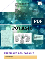 Los Principales Electrolitos en El Cuerpo Humano | PDF | Potasio | Química