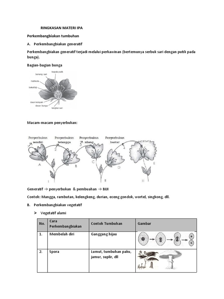 RINGKASAN MATERI IPA Perkembangbiakan Tumbuhan | PDF