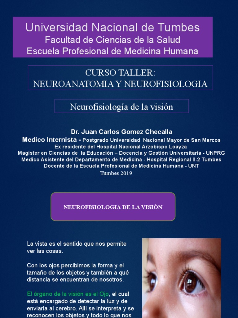 Neurofisiología de la visión: Una exploración de los mecanismos y estructuras clave involucrados ...