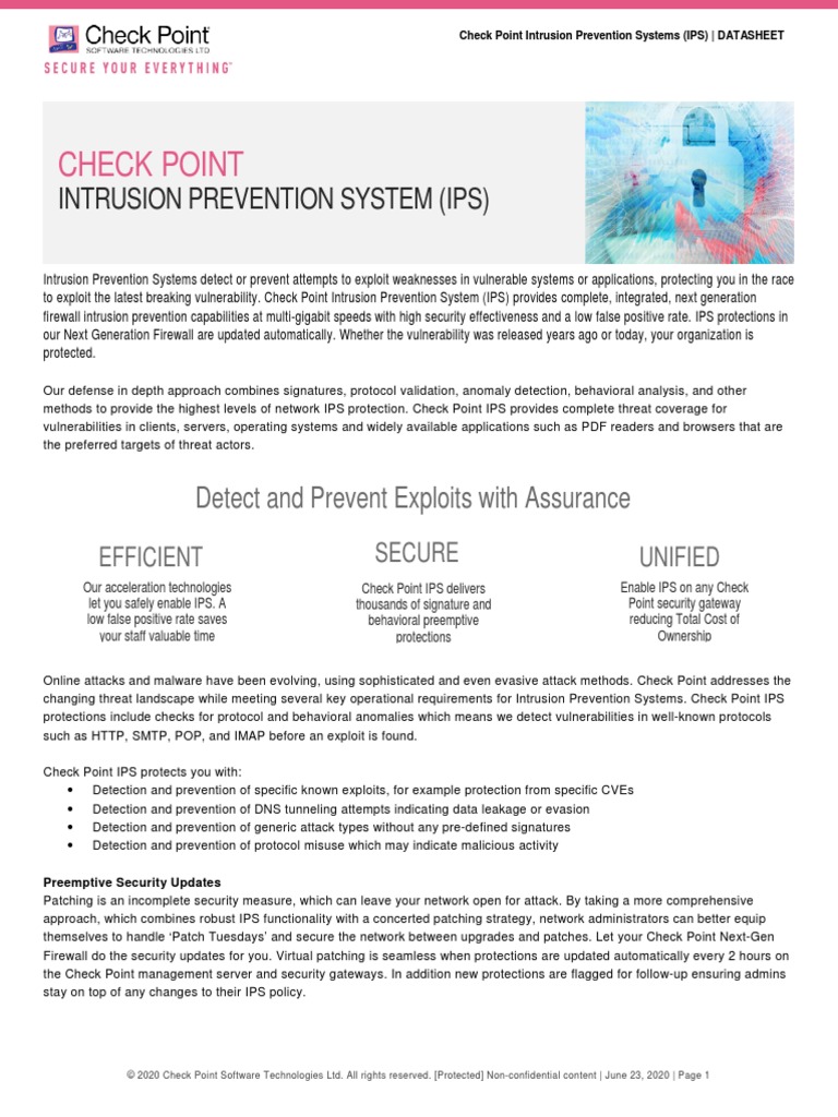 Check Point: Intrusion Prevention System (Ips) | PDF | Vulnerability ...