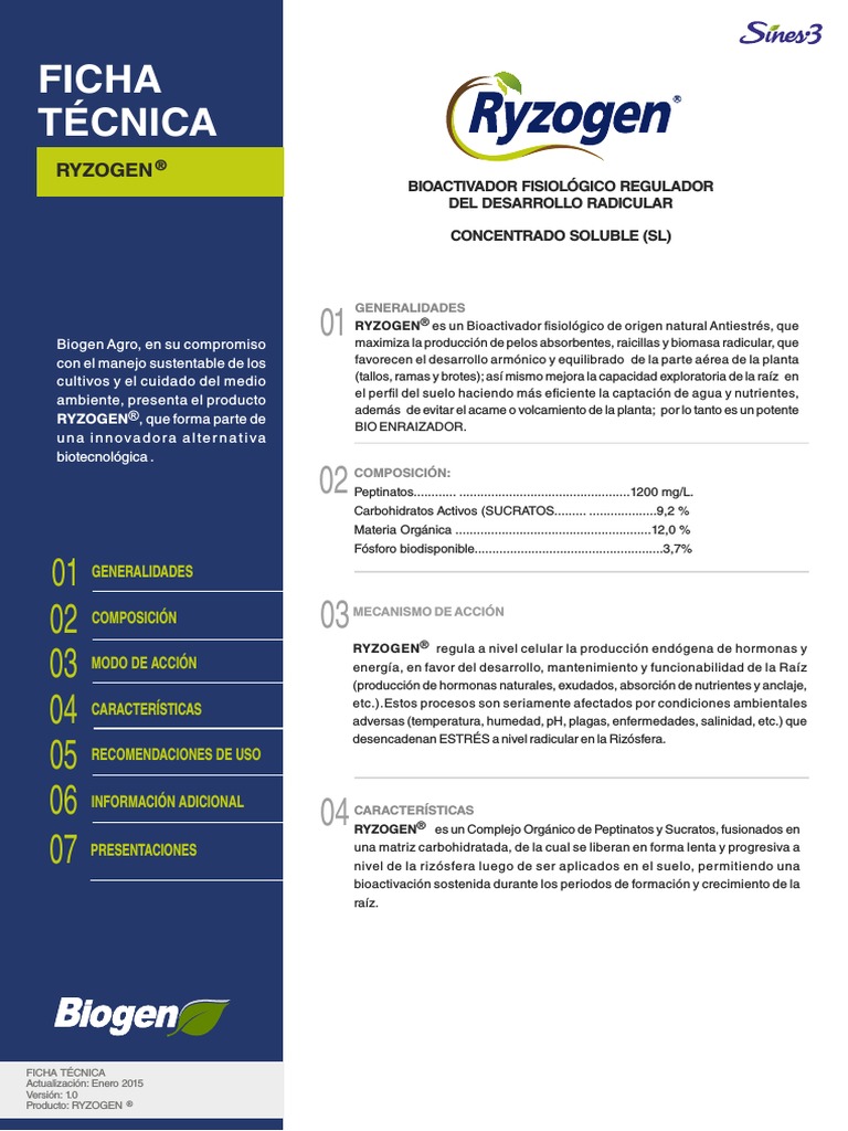Ryzogen | PDF | Raíz | Plantas