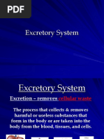 Module Excretory System | PDF | Human Body | Excretion
